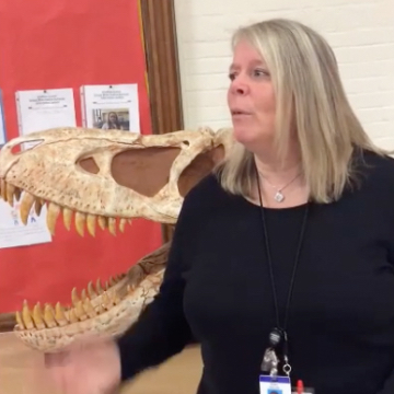 PTA Fundraiser Store | DINOSAURS ROCK SUPERSTORE | Fossil & Mineral ...
