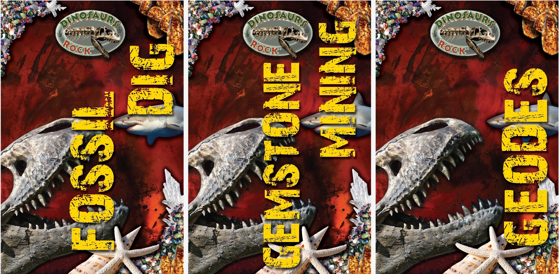 PTA Fundraiser Store | DINOSAURS ROCK SUPERSTORE | Fossil & Mineral ...