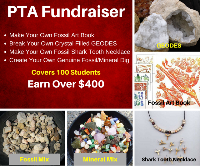 PTA Fundraiser Store | DINOSAURS ROCK SUPERSTORE | Fossil & Mineral ...