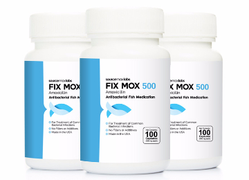 Fix Mox 500: The New Standard in Aquarium Health
