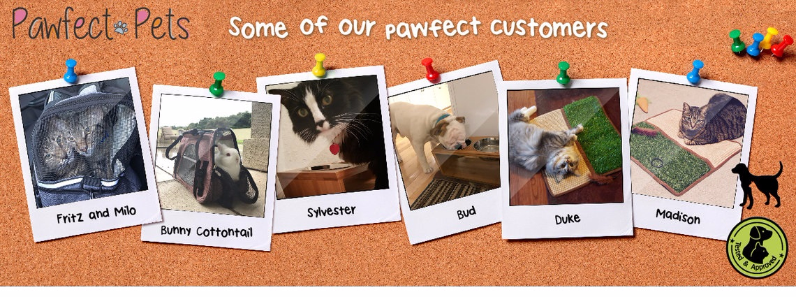 Pawfect Pets- Products to improve both you and your pet's lives