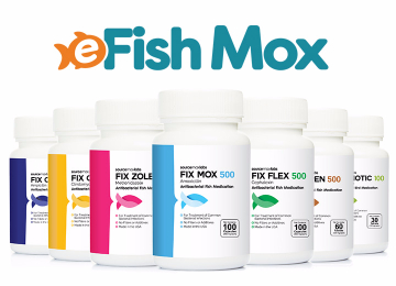 Buy Fish Flex Forte (Cephalexin), Fish Antibiotics