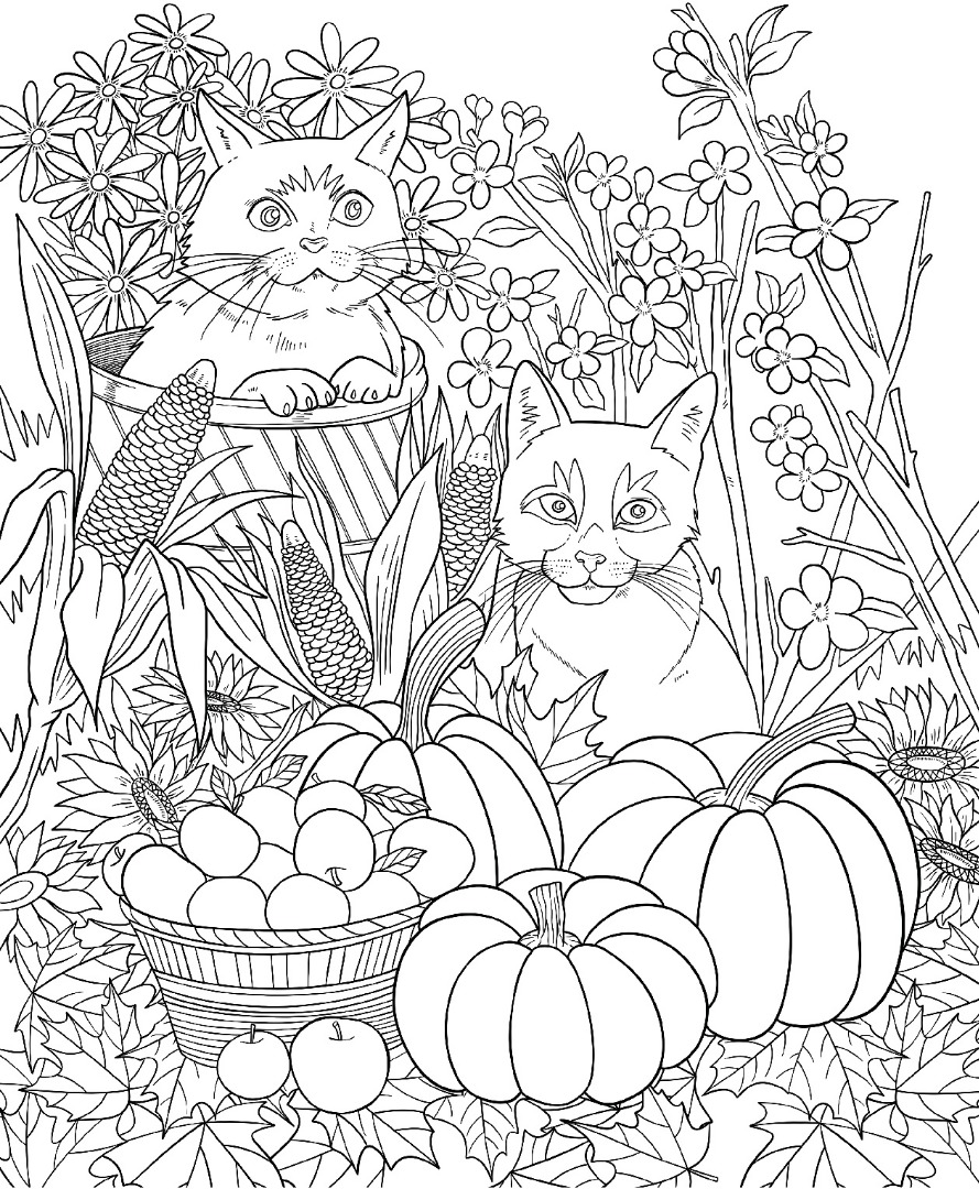 Freebie Friday Autumn Cats Adult Coloring Book TY Page