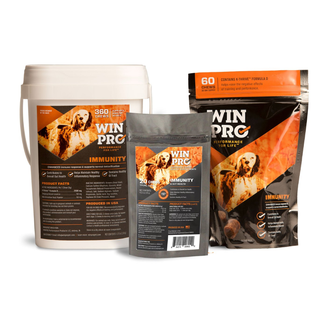 Tips for Restoring Gut Health in Dogs – WINPRO Blood Protein ...
