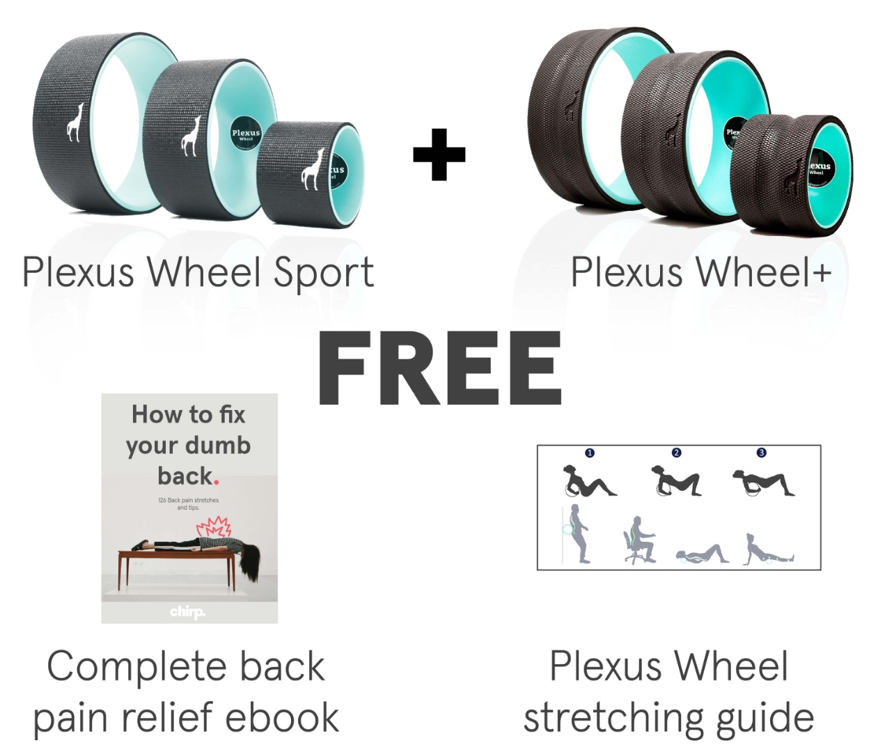 Chirp - Home of the Plexus Wheel